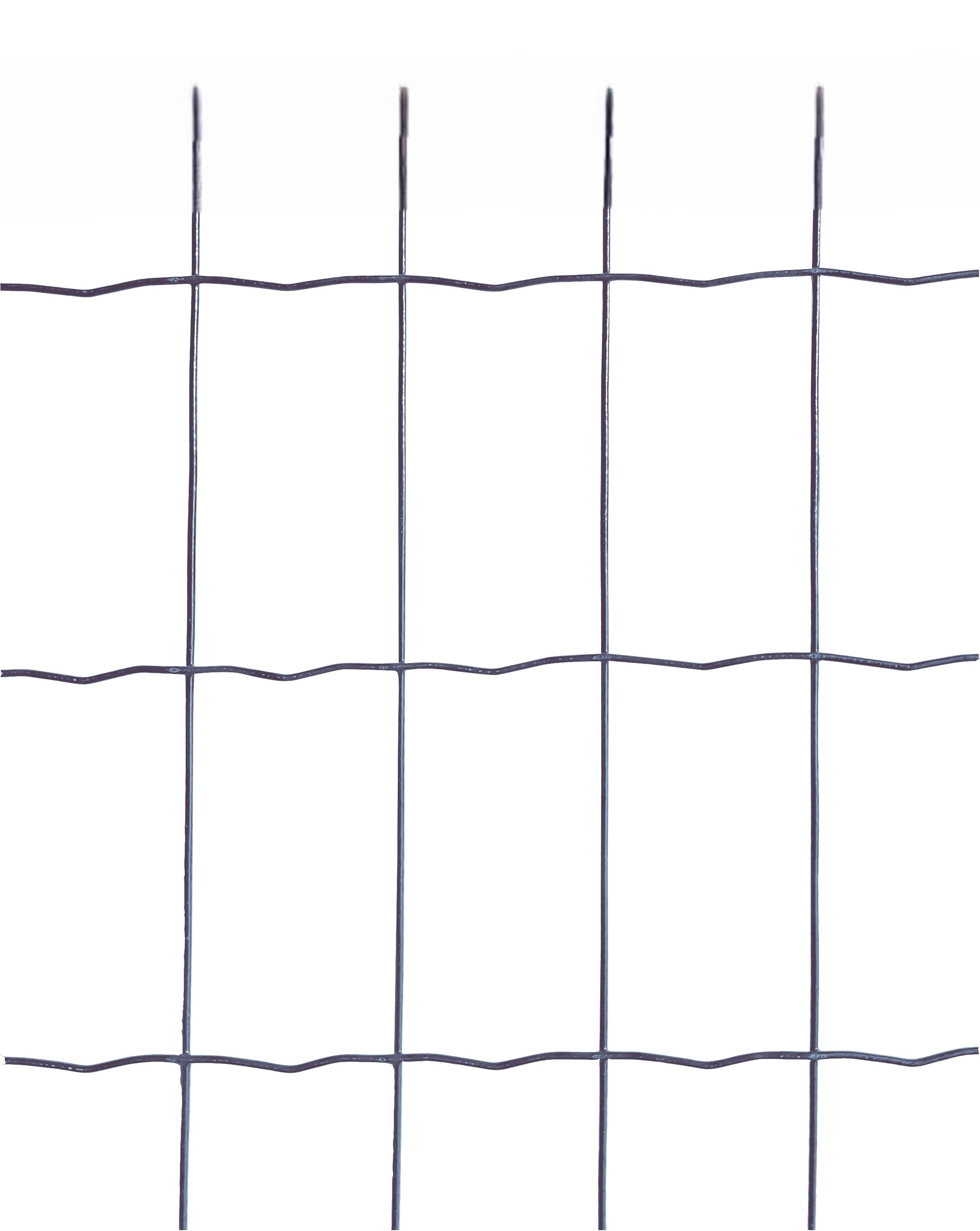 Keevisvõrk Garden Center, 100 x 50 x 2.1 mm, 150 cm, 25 m, tsingitud ...