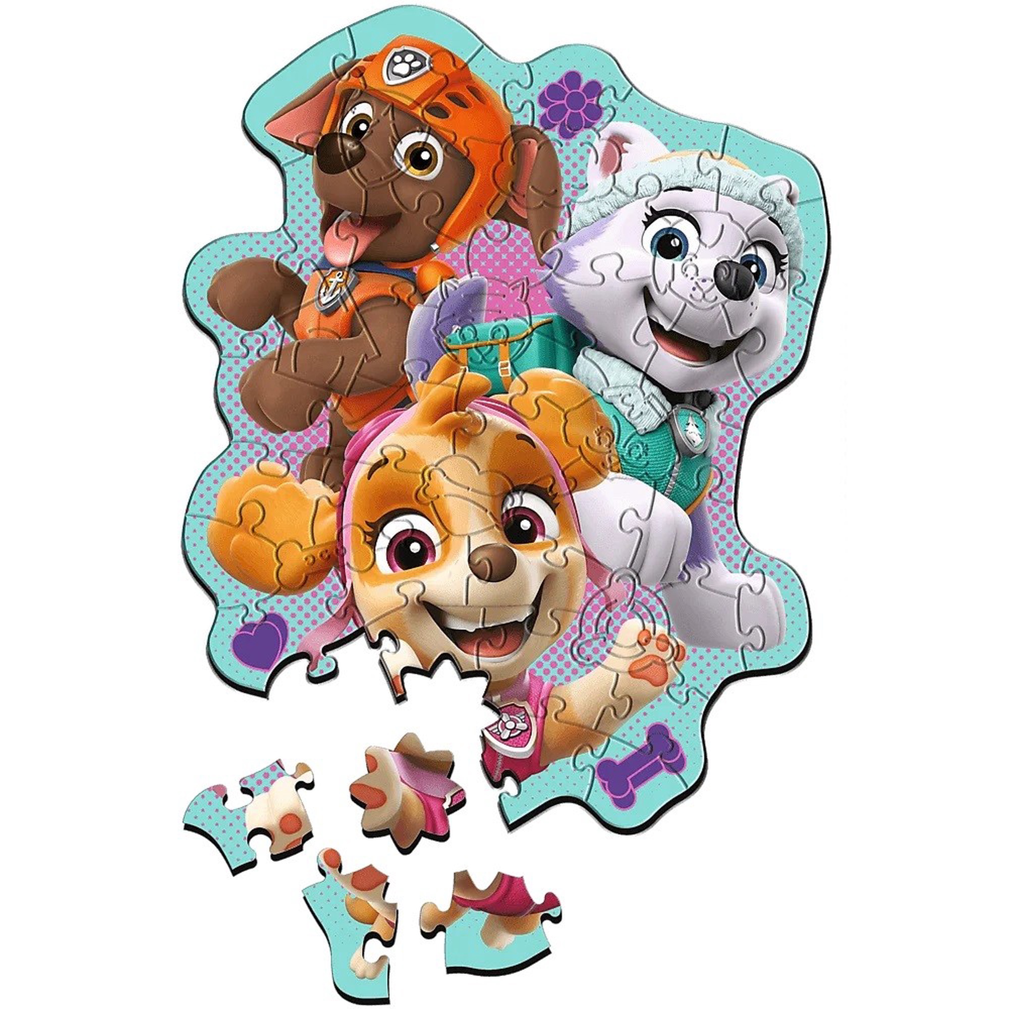 Koka puzle Trefl Paw Patrol A Cheerful Group Of Papies 20258, 50 gab ...