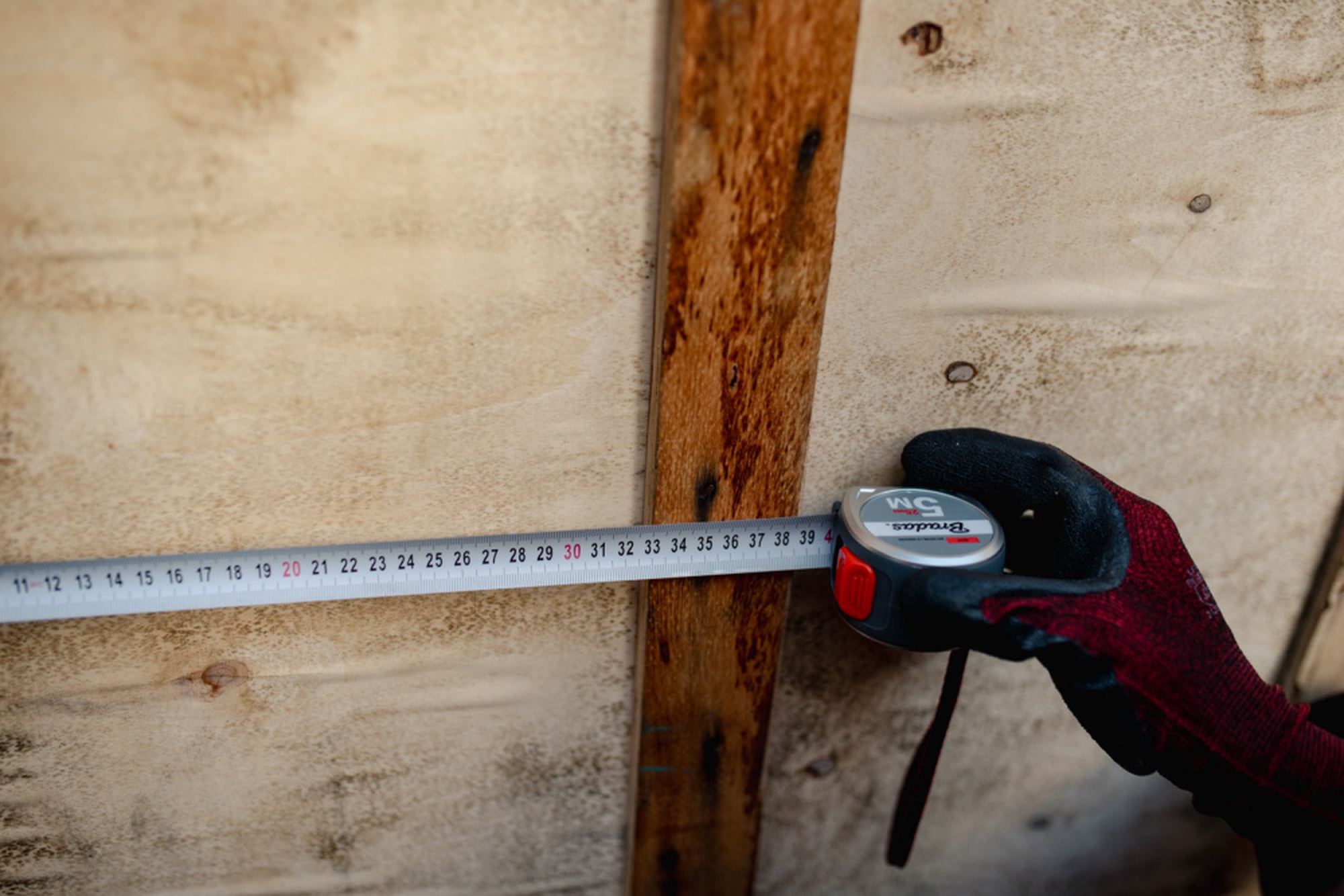 Rulete Bradas, 5 m - Ksenukai.lv